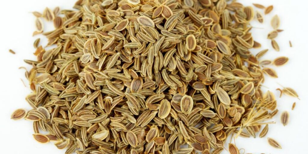 Dill Seeds – A2Z Agro Food